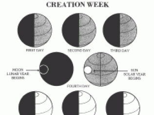 Calendar Facts | Creation Calendar